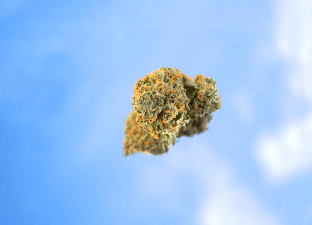 Palmer, MA Recreational Cannabis Dispensary - Silver Therapeutics ...