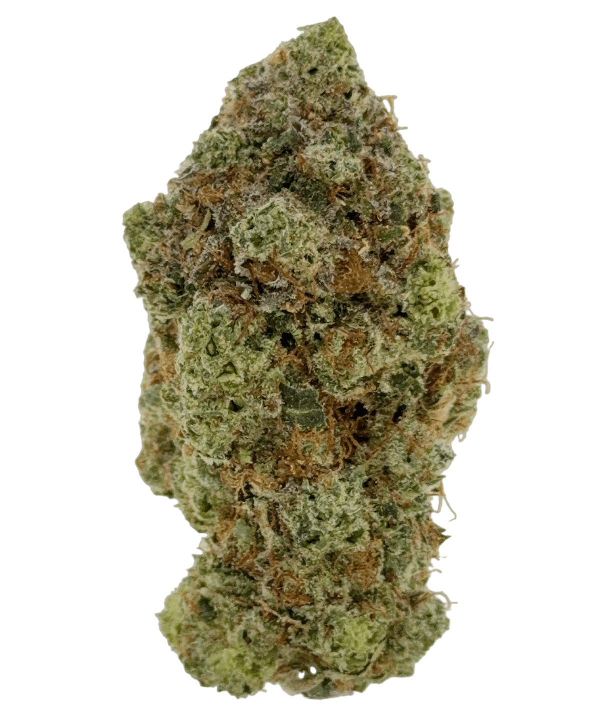 Featured Strains - Silver Therapeutics