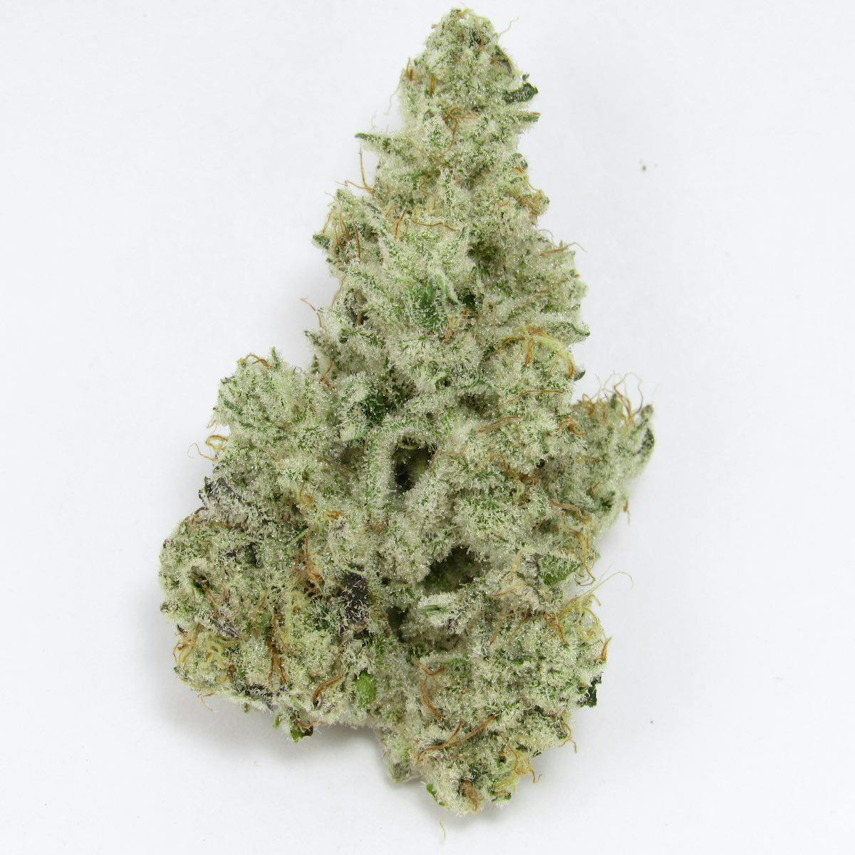 Featured Strains - Silver Therapeutics